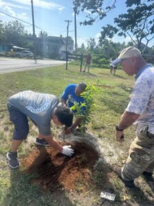 MVA URGES TREE PLANTING IN LINE WITH GLOBAL TRAVEL TREND – Marianas ...